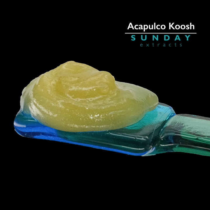 Acapulco Koosh Concentrate – Sunday Extracts