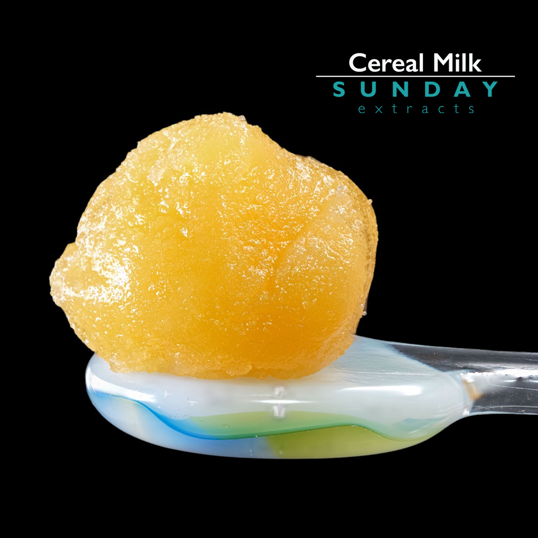 Cereal Milk Live Resin Concentrate – Sunday Extracts