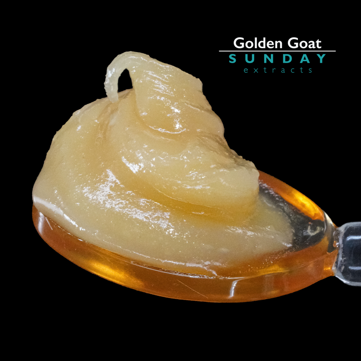 Golden Goat Concentrate – Sunday Extracts