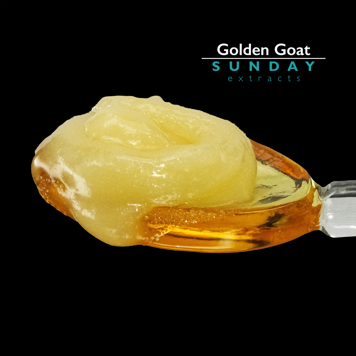 Golden Goat Live Resin Concentrate – Sunday Extracts