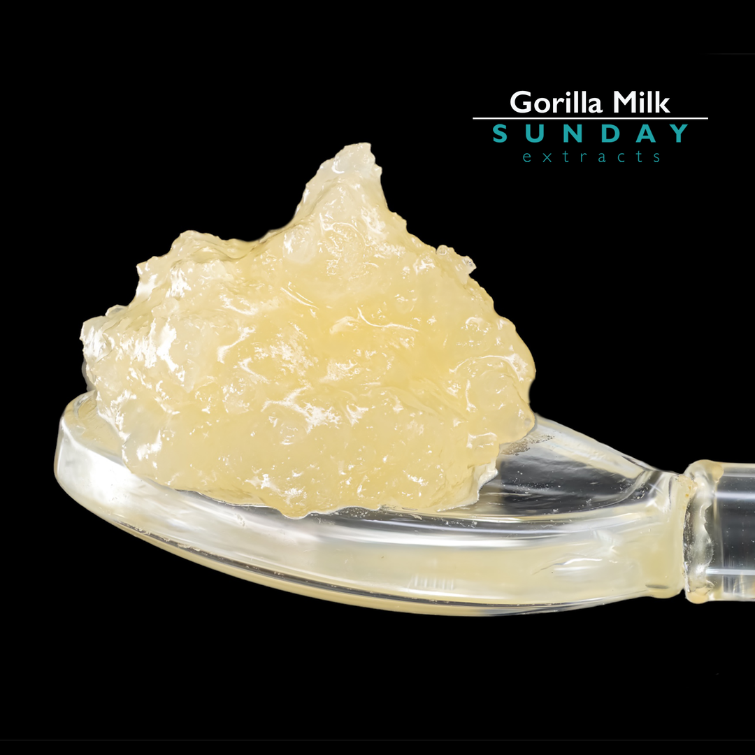 Gorilla Milk Concentrate – Sunday Extracts