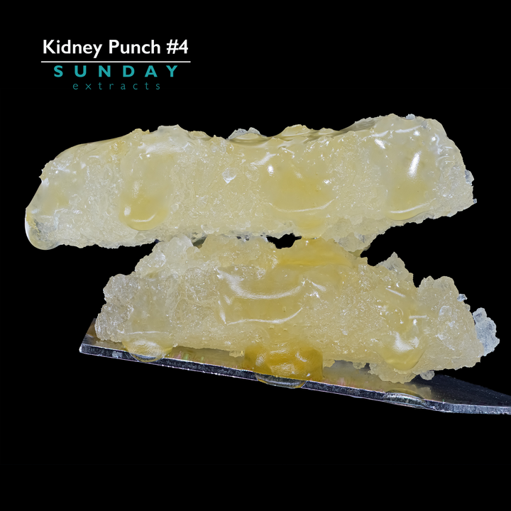 Kidney Punch #4 Sunday Jam – Sunday Extracts