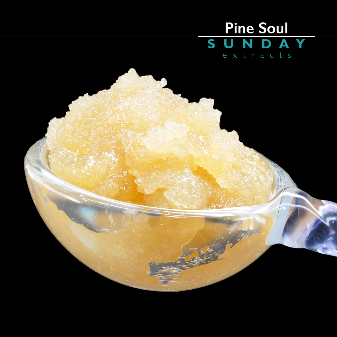 Pine Soul Concentrate – Sunday Extracts