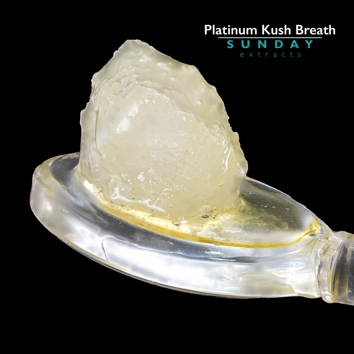 Platinum Kush Breath Live Resin Sunday Jam – Sunday Extracts