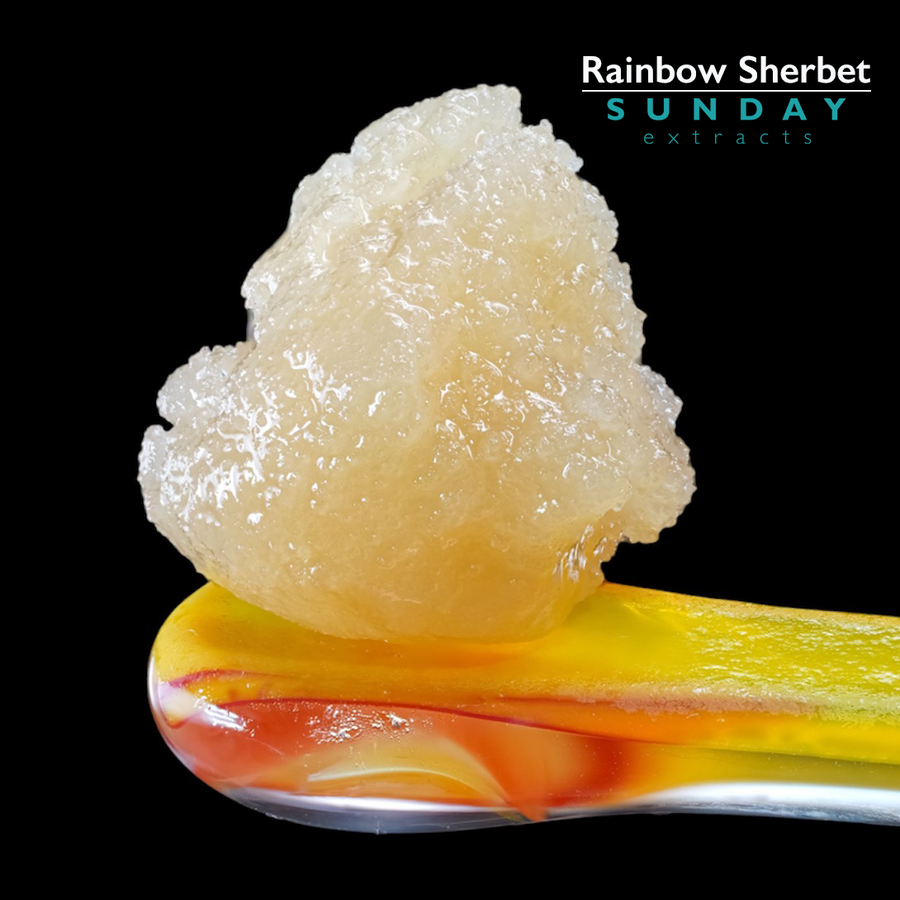 Rainbow Sherbet #11 Concentrate – Sunday Extracts