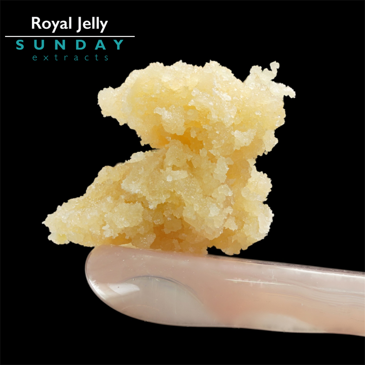 Royal Jelly 1g Concentrate – Sunday Extracts