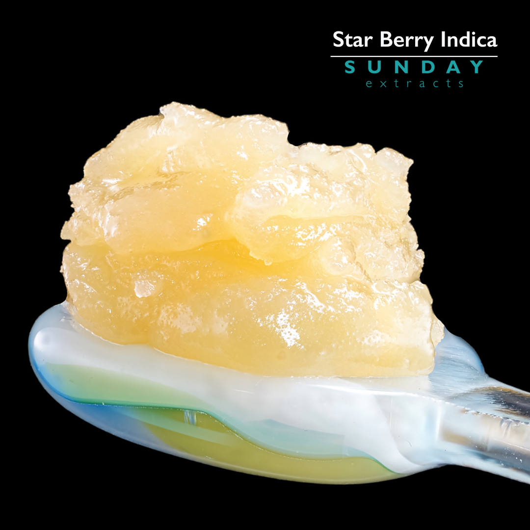 Star Berry Indica Concentrate – Sunday Extracts