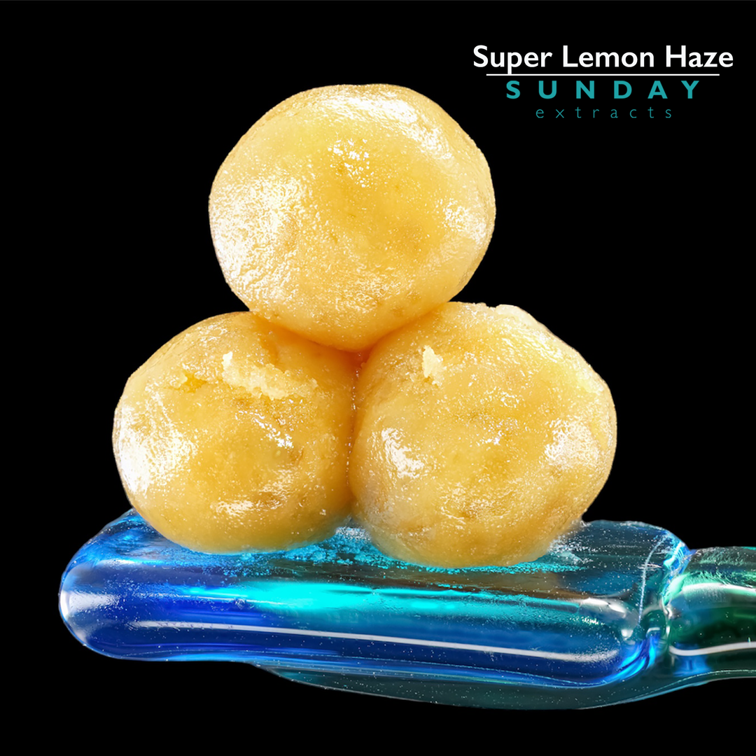 Super Lemon Haze Concentrate – Sunday Extracts