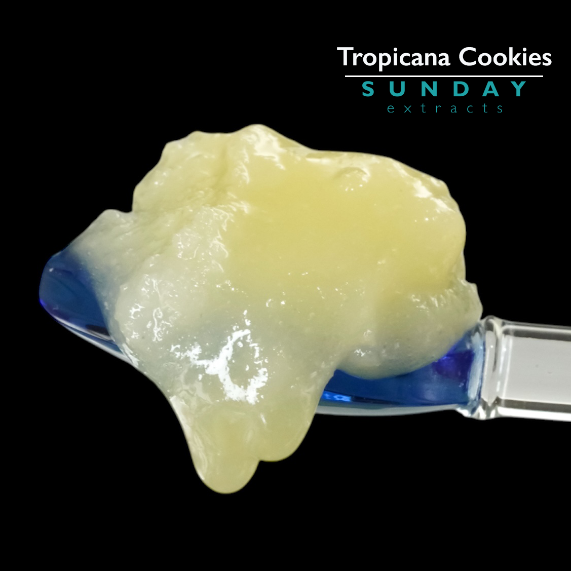 Tropicana Cookies 3g Live Resin Concentrate – Sunday Extracts